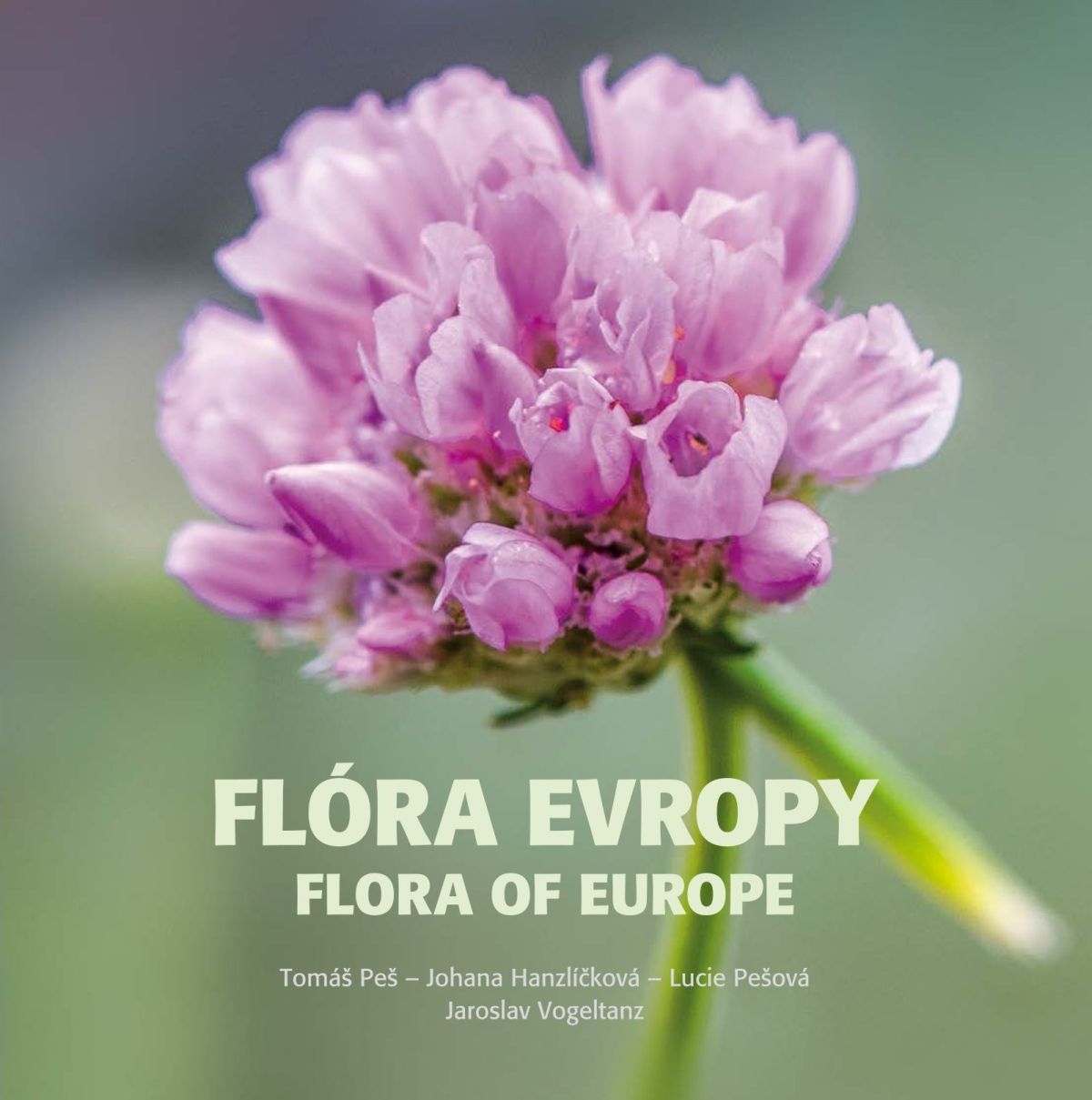 Nová kniha - Flóra Evropy | Zoo Plzeň