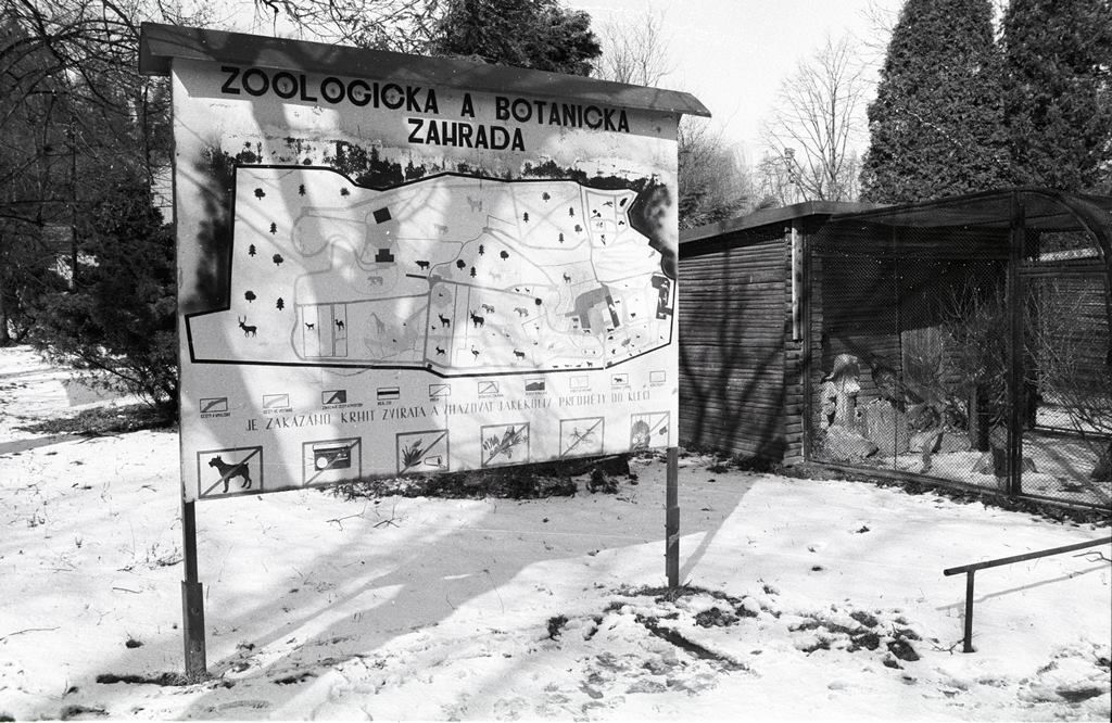 Sháníme pamětníky a historické materiály | Zoo Plzeň