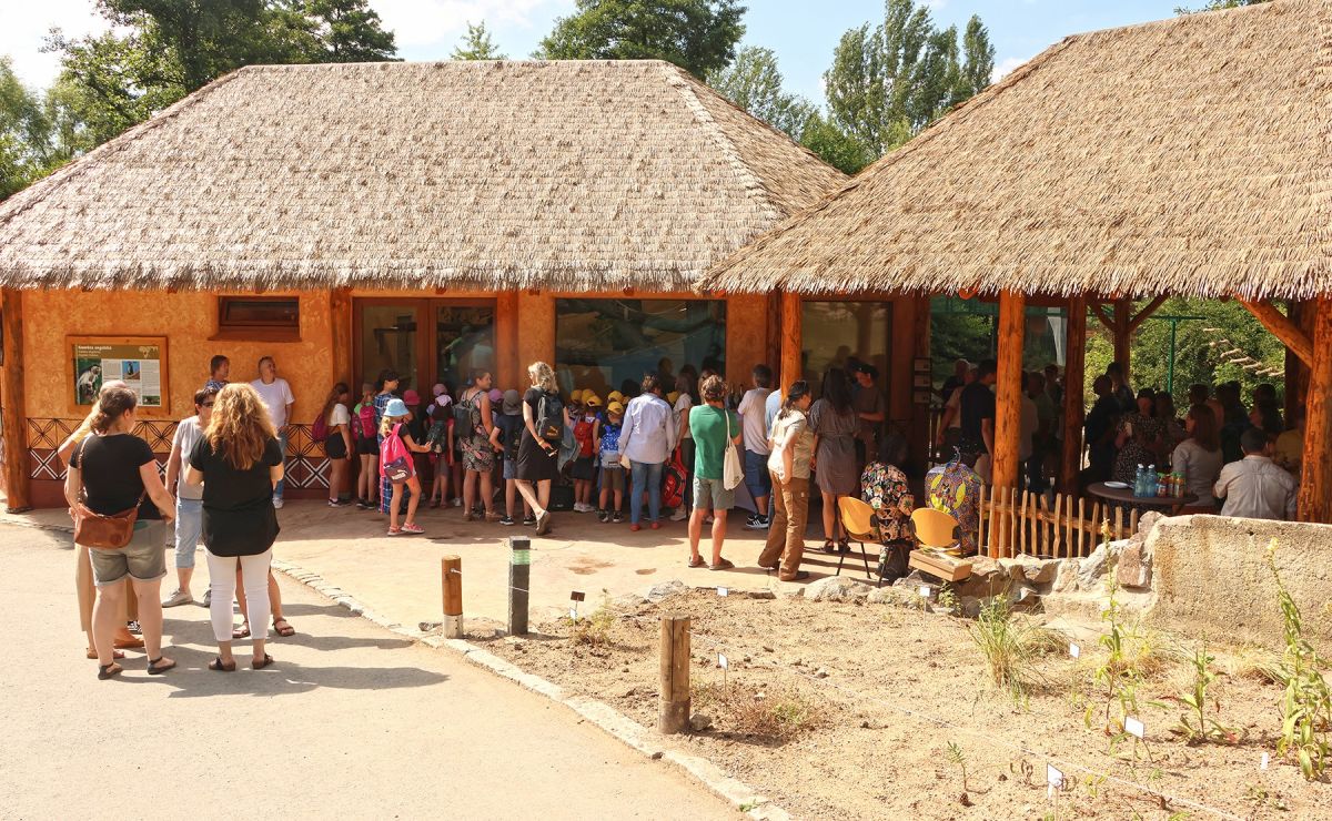Nový pavilon gueréz angolských | Zoo Plzeň